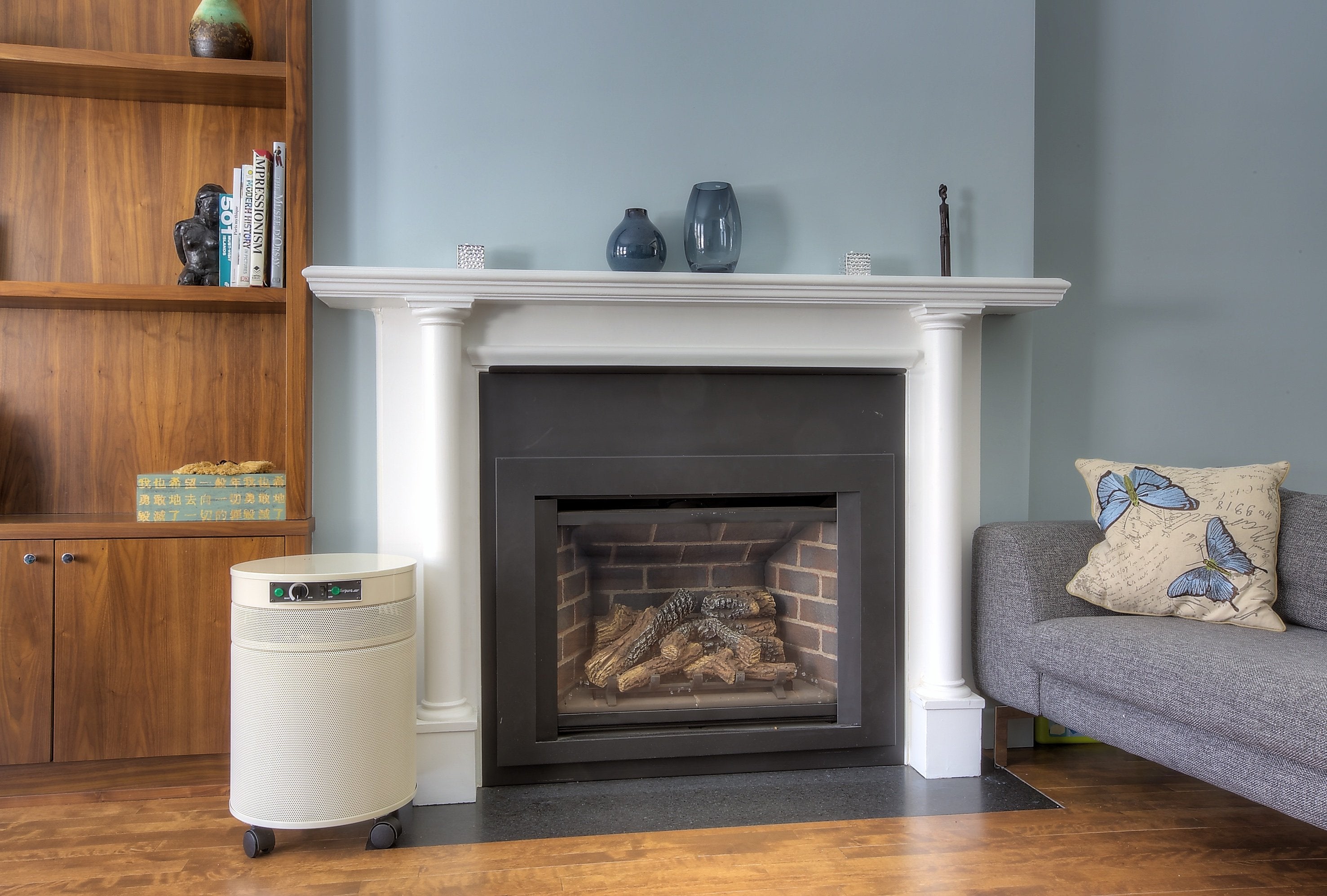 Air Purifiers and SARS-CoV-2: Can They Help Prevent the Spread ...