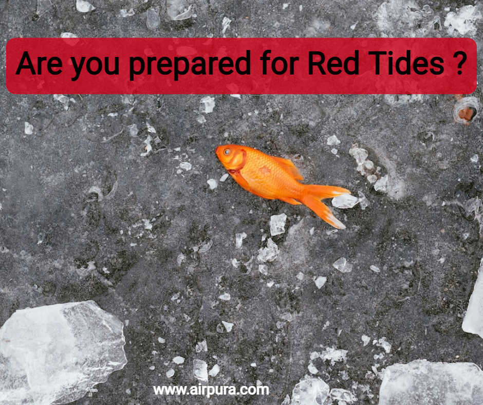 Are you Prepared for Red Tides? – Airpura Industries
